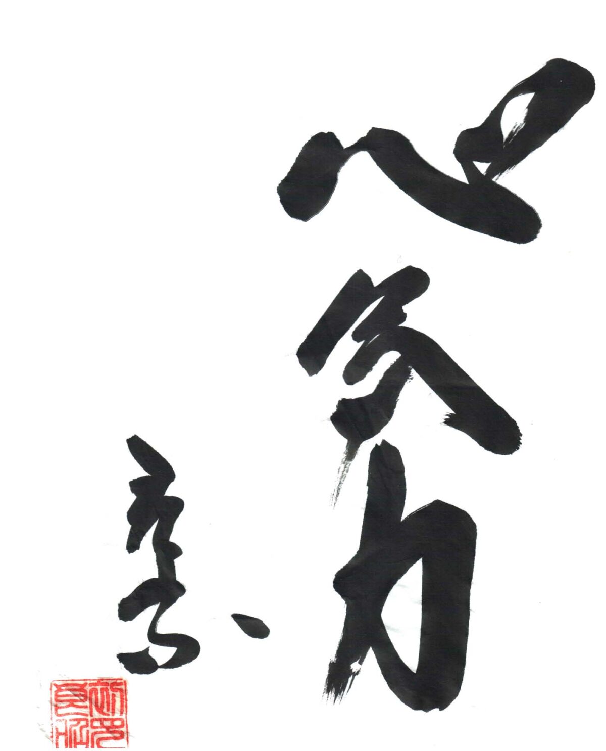 Dojo Wall | PEAK Martial Arts Academy